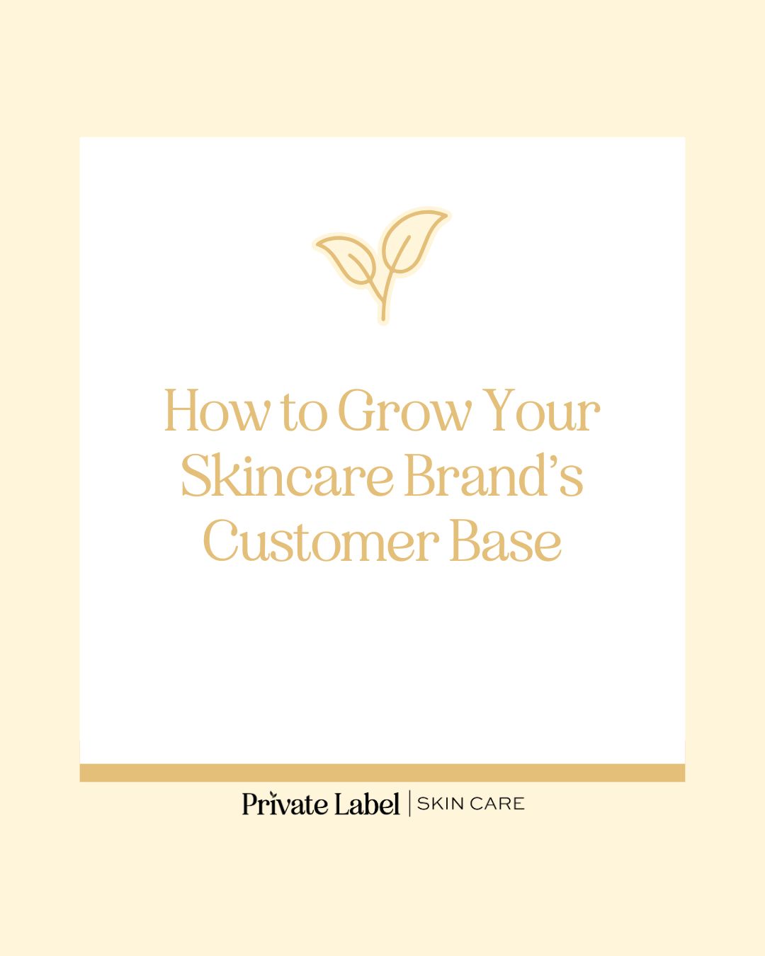 How to Grow Your Skincare Brand’s Customer Base – Private Label Skin Care How to Grow Your Skincare Brand’s Customer Base – Private Label Skin Care